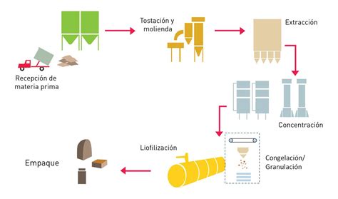 CAFESCA Nuestro Cafe Proceso de producción
