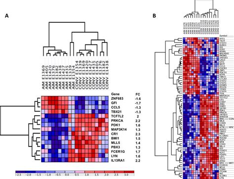 Cluster Heat Maps Of Gene Expression In CD8 T Cells During AIM And