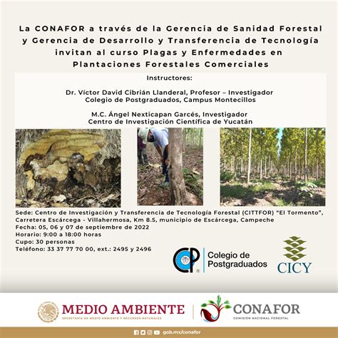 CONAFOR on Twitter Invitación Del 5 al 7 de septiembre en el