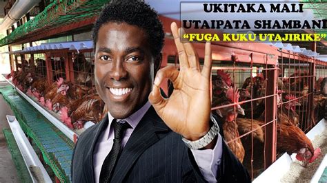 Ufugaji Wa Kuku Wa Mayai FAIDA 6 ZA KUTUMIA KEJI ZA TANZANIA YouTube