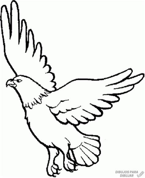 磊 Dibujos de Aves 250Lindos y faciles