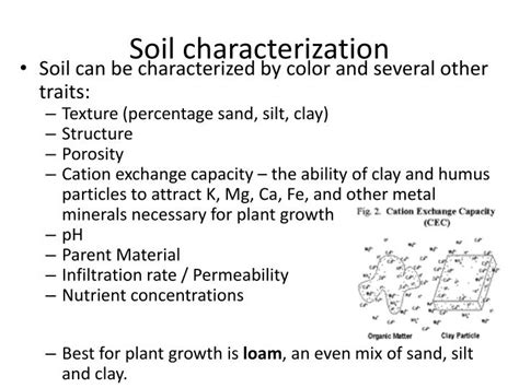 PPT Soil Degradation And Conservation PowerPoint Presentation ID