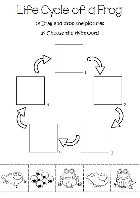 Spelling Worksheets Algebra Worksheets Budgeting Worksheets Science