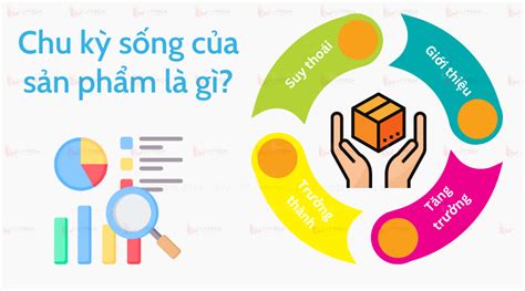 Chu kỳ sống của sản phẩm và cách áp dụng chiến lược marketing phù hợp