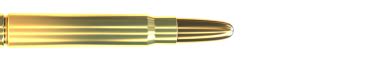 Rifle Ammunition With Exergy Bullets Sellier Bellot