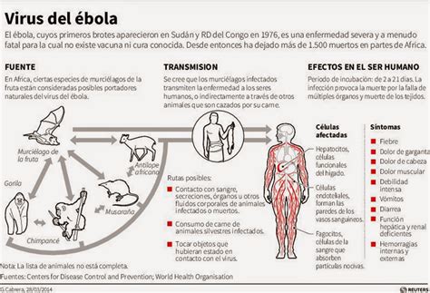 VIRUS DEL EBOLA La OMS alerta de que varios supervivientes de ébola r