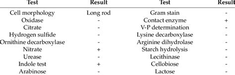 Morphological Physiological And Biochemical Characteristics Of E