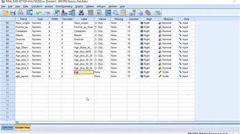 How To Generate And Or Codify A New Variable In Spss Youtube