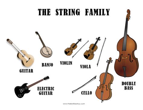 List Of Instruments And Their Families
