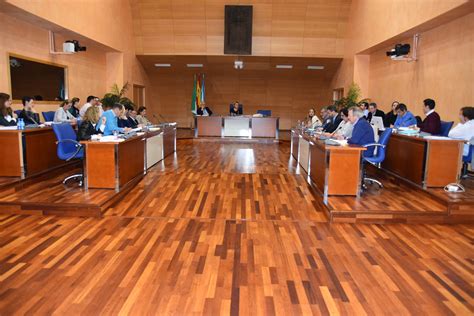 El Pleno Aprueba El Reglamento Que Regir El Proceso Para Que Mayores