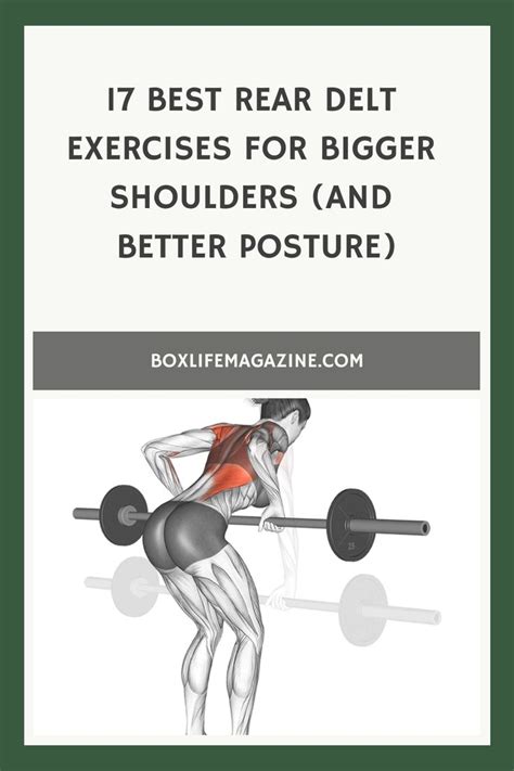 17 Best Rear Delt Exercises For Bigger Shoulders And Better Posture