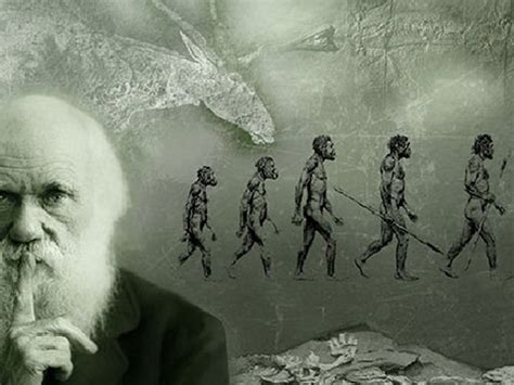 La Consolidata Teoria Neo Darwiniana Dell Evoluzione Cellwellbeing Italia