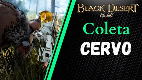 BDO Lifeskill Coleta Cervos Deer Rotation YouTube