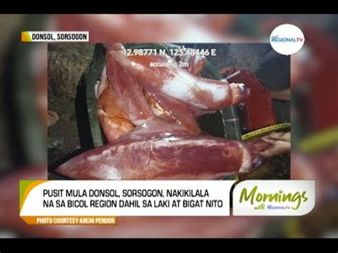 Mornings With GMA Regional TV Higanteng Pusit YouTube