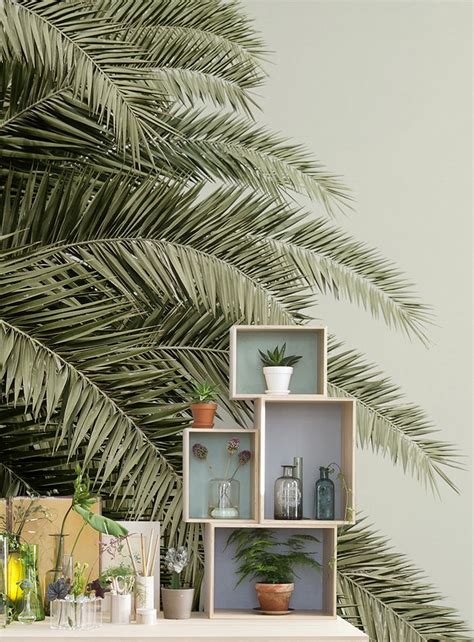 Pin Auf Urban Jungle Tapeten Und Inspiration