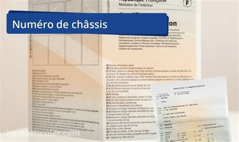 D Crypter Imagen Carte Grise N De Serie Fr Thptnganamst Edu Vn