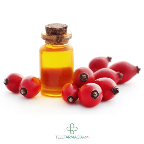 Beneficios Del Aceite De Rosa Mosqueta TelefarmaciaApp