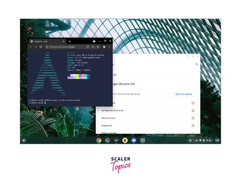 What Are The Best Linux Arm Distributions Scaler Topics