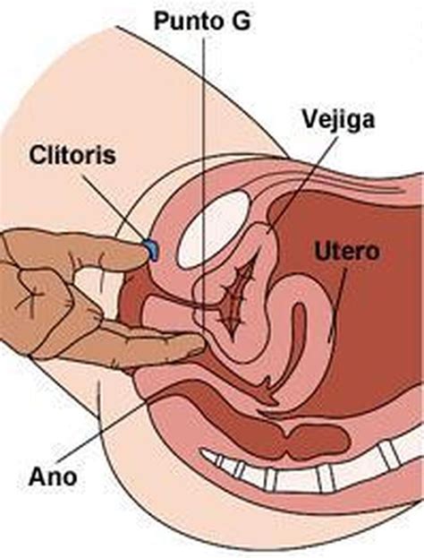 El Punto G de la mujer Aries Descúbrelo Una guía completa
