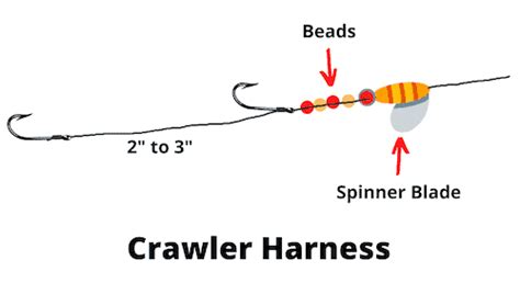Walleye Rigs Best Walleye Rigging Guide Of