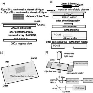 Schematic Diagram Of Microfluidic Device Fabrication A Schematic