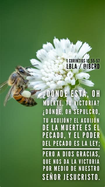 Imagenes 1 Corintios 15 55 57 LBLA Ibcrd