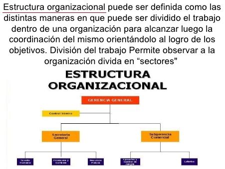 Estructura Organizacional