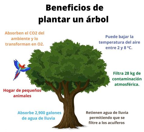 Beneficios De Plantar Un Arbol Coca Cola Image To U