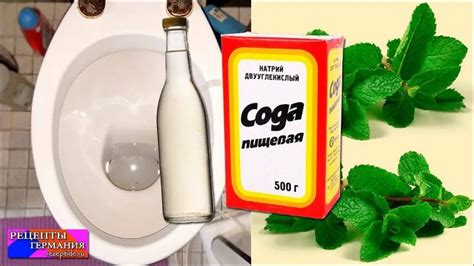 Un Poco De Bicarbonato Es Suficiente Para Quitar Los Malos Olores De La