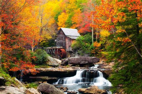 Fall Foliage Peak Periods In The Southeast