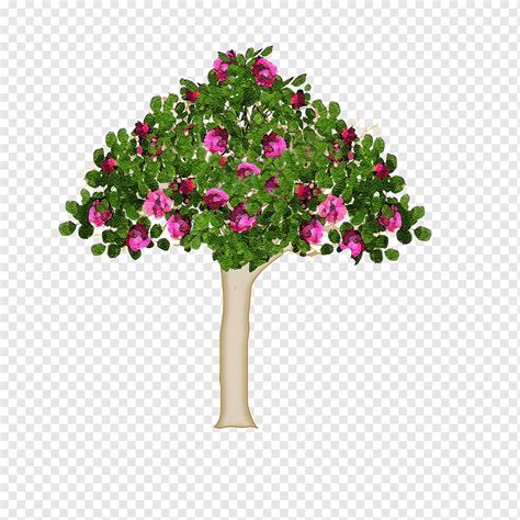 Árbol Naturaleza Bosque Verano png PNGWing
