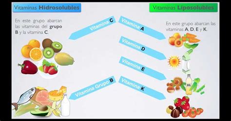 Nutrición y vitaminas hidrosolubles Cuáles son las vitaminas