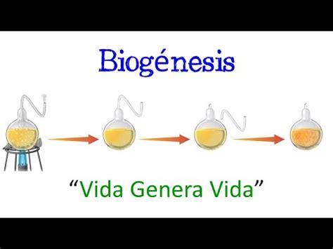 Teoría de la Biogénesis Fácil y Rápido BIOLOGÍA YouTube