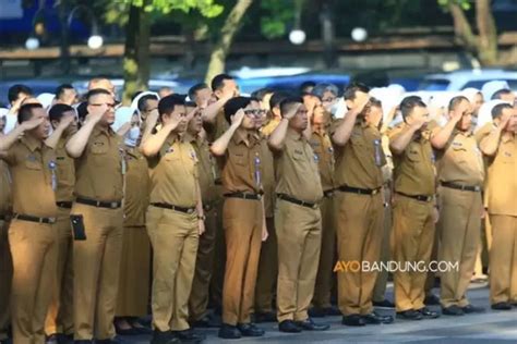 Gaji Honorer Di Seluruh Provinsi Di Indonesia Resmi Disetujui Sri