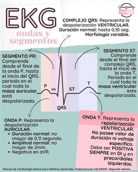 EKG YUDOC ORG UDocz