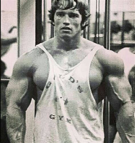 Arnold Schwarzenegger Muscle Arnold Bodybuilding Mma Gym