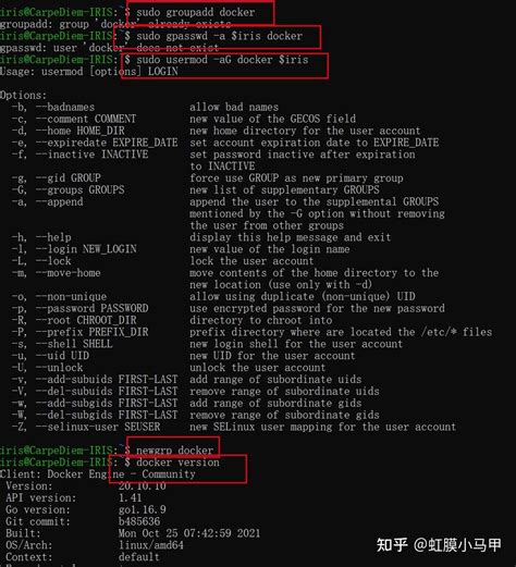 在windows11中linux子系统安装docker 知乎