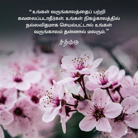 Incredible Collection Of Full K Motivational Images In Tamil Over