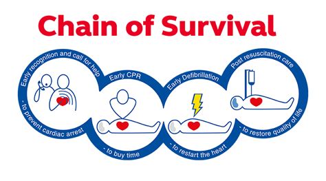 Guidelines Adult Basic Life Support And Automated External
