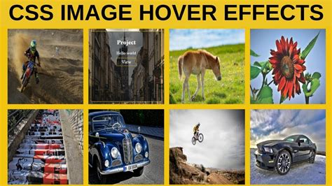 Css Image Hover Effects How To Create Image Hover Overlay Effects