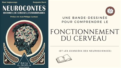 Neurocontes Un Livre Pour Comprendre Le Fonctionnement Du Cerveau