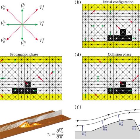 active transitions of doublets in the cellular automaton model for download scientific diagram