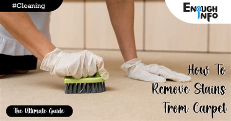 How To Remove Stains From Carpet The Ultimate Guide EnoughInfo