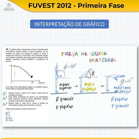 Fuvest Primeira Fase Resolu O De F Sica Professor Pinguim F Sica
