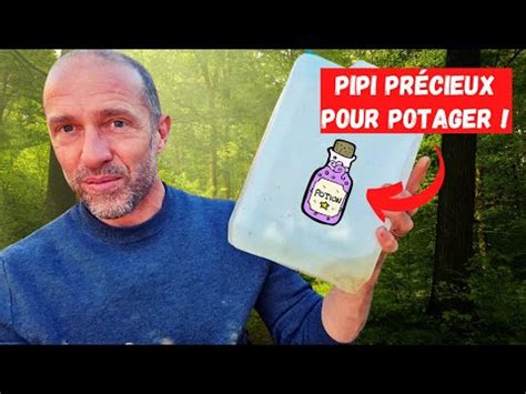 Ma Vision De L Urine Au Potager Pour Potion Magique Ou Roue De