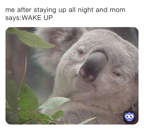 Me After Staying Up All Night And Mom Says WAKE UP Iamgodhimself Memes