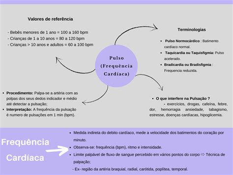 Mapa Mental Sinais Vitais Fisiologia Humana I Images And Photos Finder
