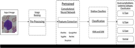 csse free full text automated leukemia screening and sub types classification using deep