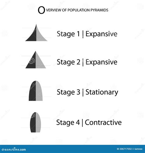 The Types Of Population Pyramids Graphs Vector Illustration