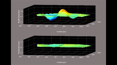 cochlear traveling wave in vivo youtube